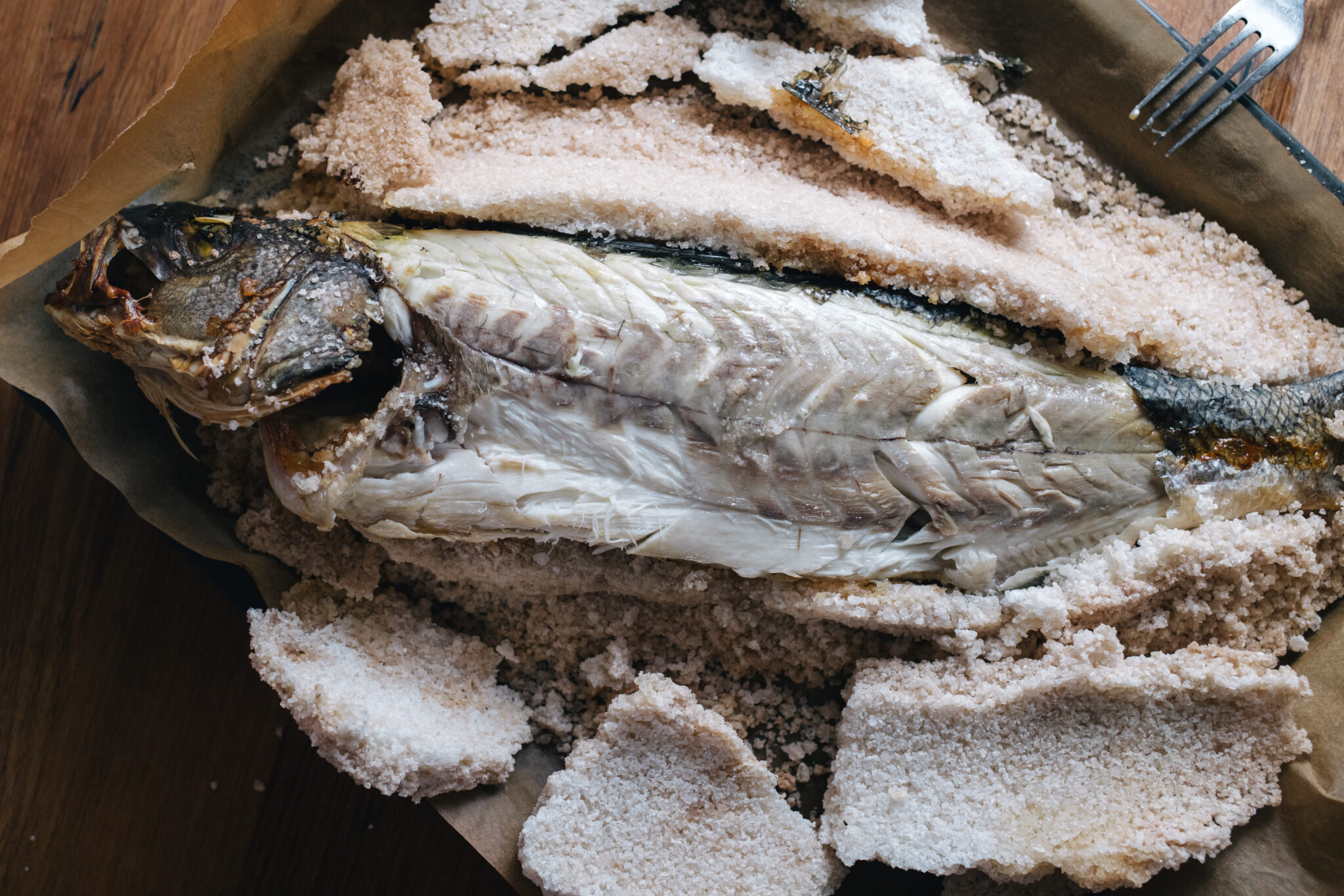 riba iz jadranskog mora